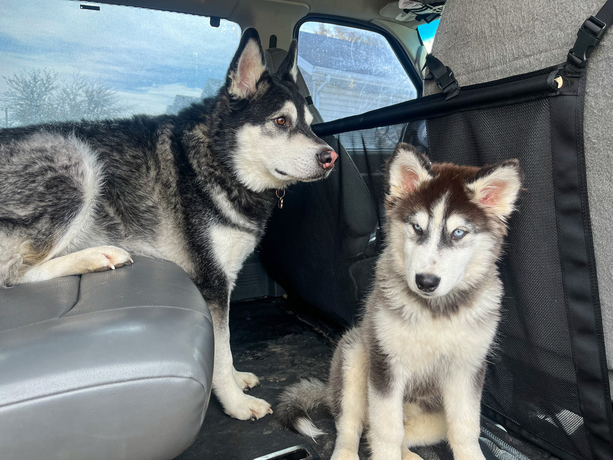 Sprinter Van Mesh Dog Barrier - Mesh Pet Barrier - Van Dog Partition ...